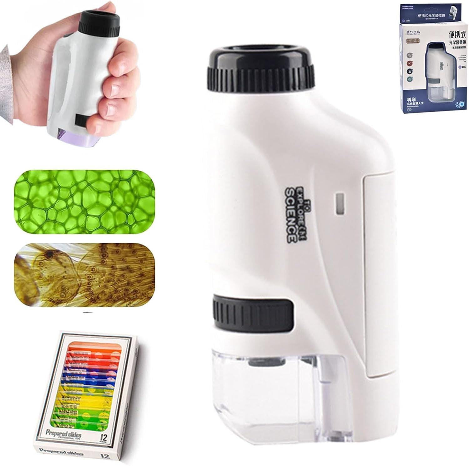 Portable Microscope Kids, 60x-120x Scope for Kids, Your Little ...