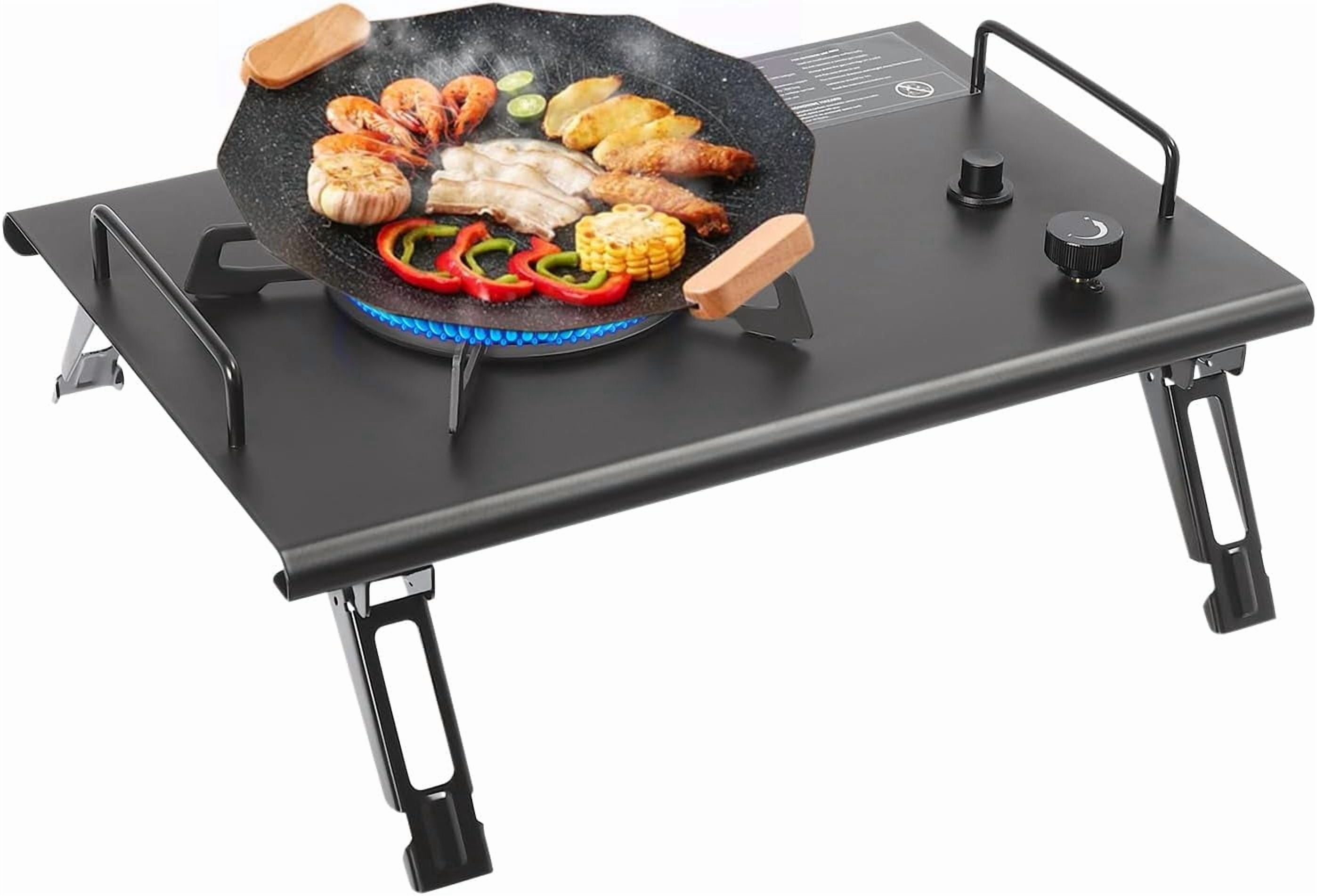 Portable Outdoor Gas Stove 13,648 BTU Gas Stove, Stainless Steel ...