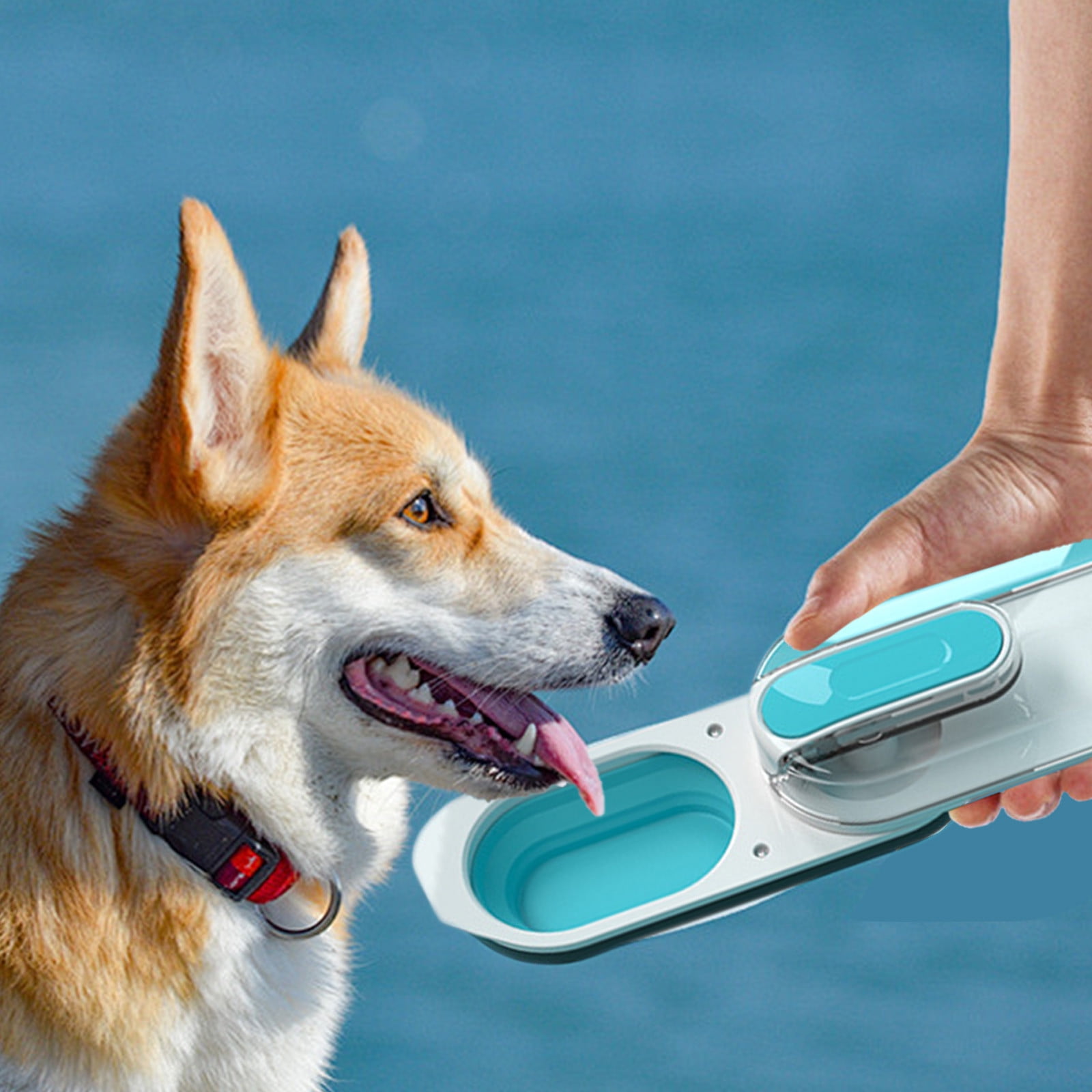 Portable Pet Food and Water Container Leakproof Dog Bottle Feeder ...