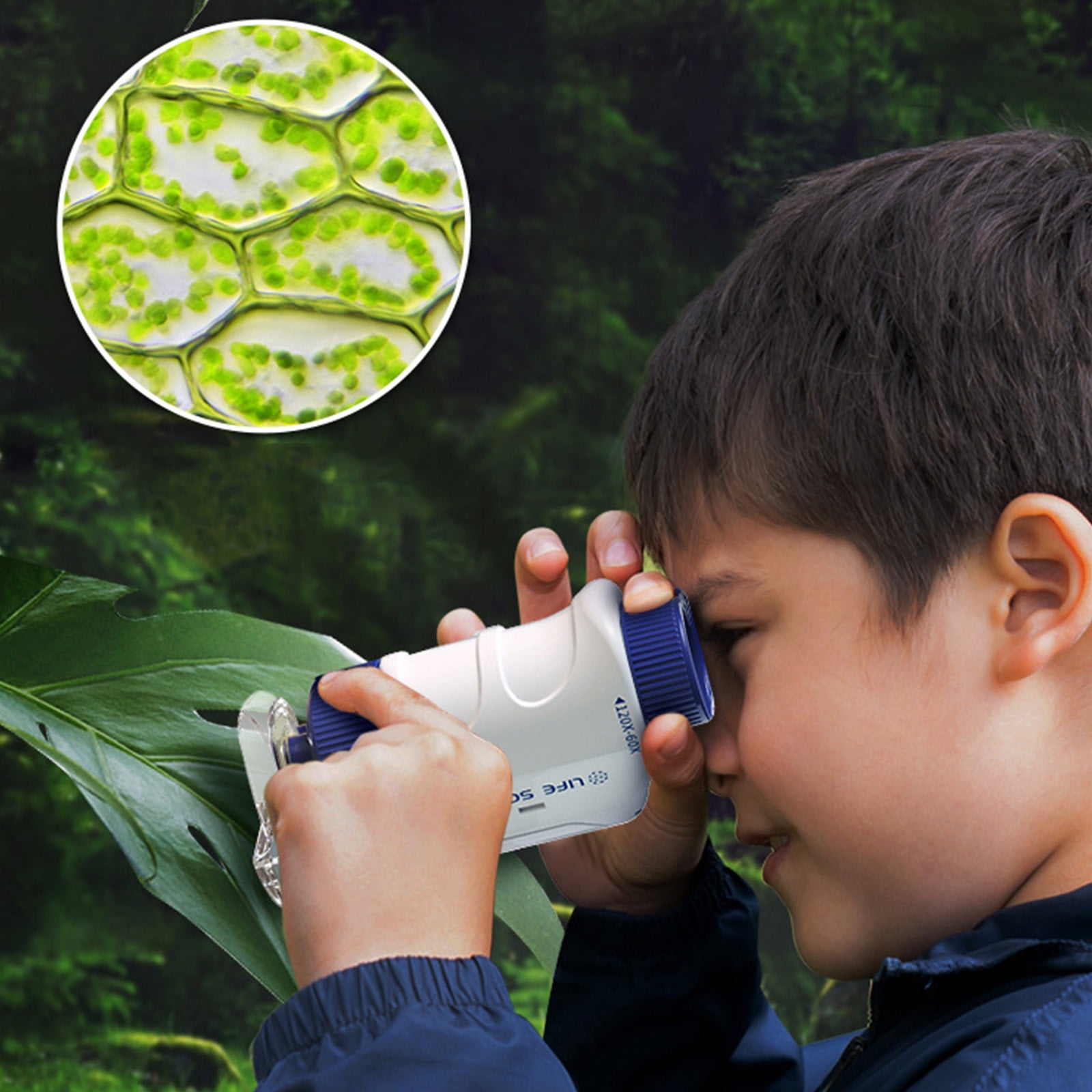 Portable Pocket Handheld Microscope Toys, Interactive Learning, Mini ...