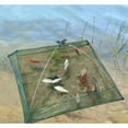 Walmart Portable 24" Folding Fishing Net for Minnows, Crawfish, Small ...
