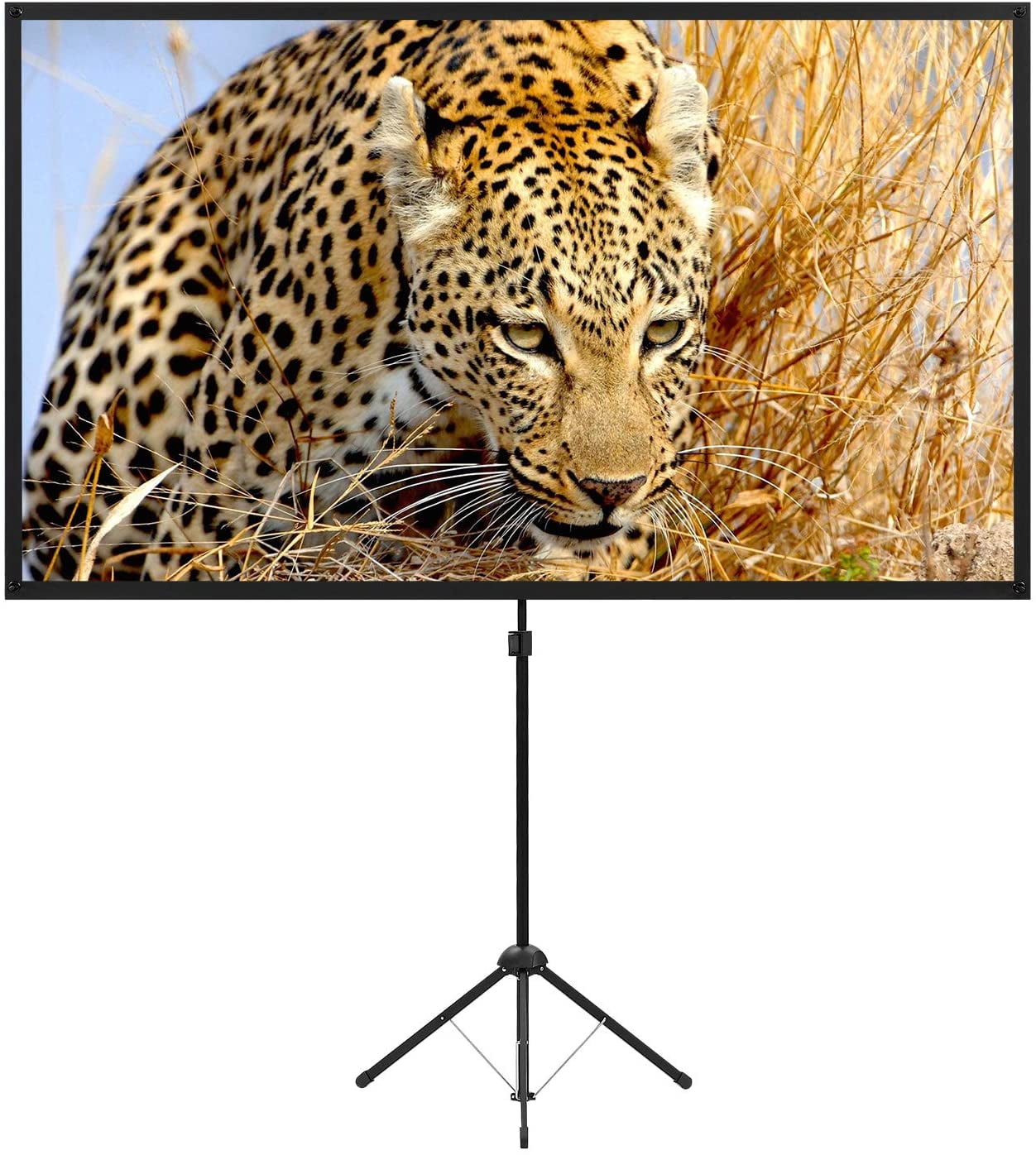 Portable Projector Screen with Stand, Outdoor Movie Screen, 80 Inch 16: ...