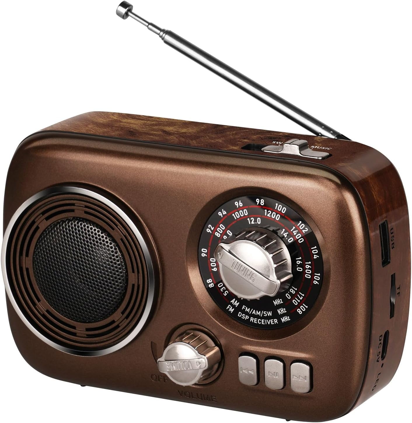 Portable Radio AM FM SW, Bluetooth Speaker Retro Radio, Support USB/TF ...