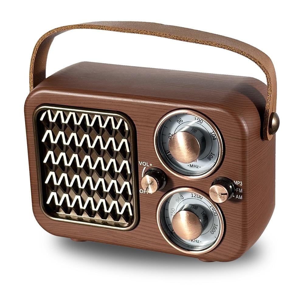 Portable Retro Radios AM FM,Mini Radio Bluetooth Speaker with Clear ...