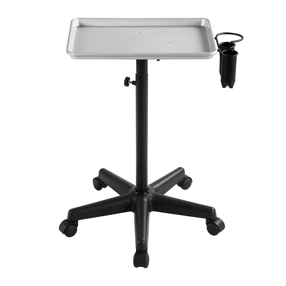 Portable Salon Tray on Casters, Removable Tray and Tool Rack for ...