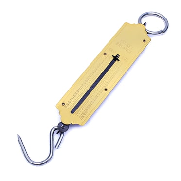 Brecknell ElectroSamson Digital Hand-Held Scale, 22lb Capacity ...