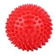 Portable Spiky Massage Balls Trigger Point Massage Ball Set Improve ...