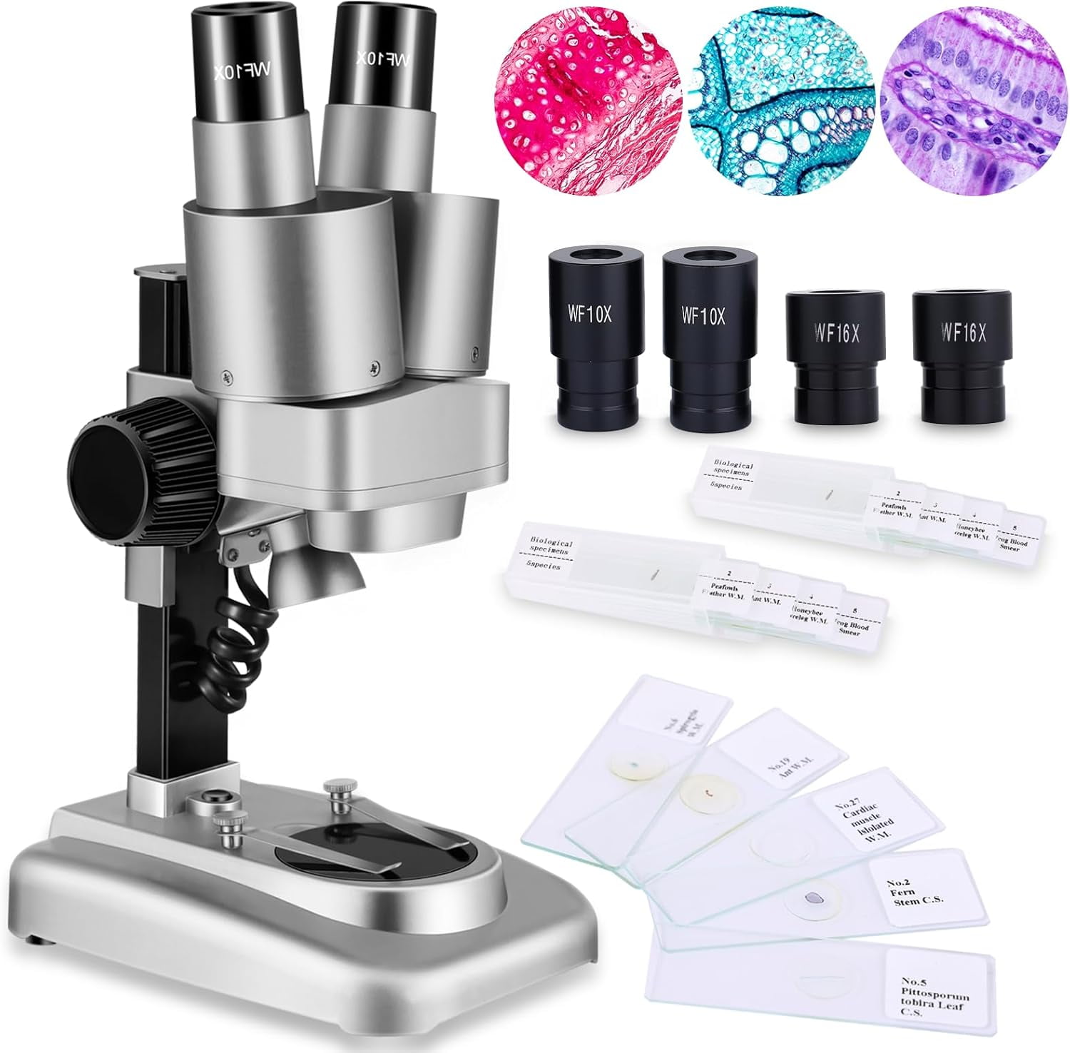 Portable Stereo Microscope 10x16x Wide Angle Eyepieces Microscope ...