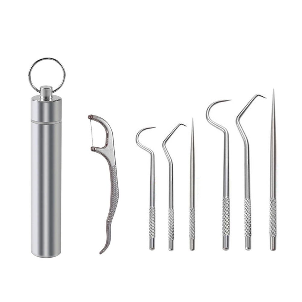 Portable Toothpicks Set Reusable Stainless Steel Toothpicks With Holder ...