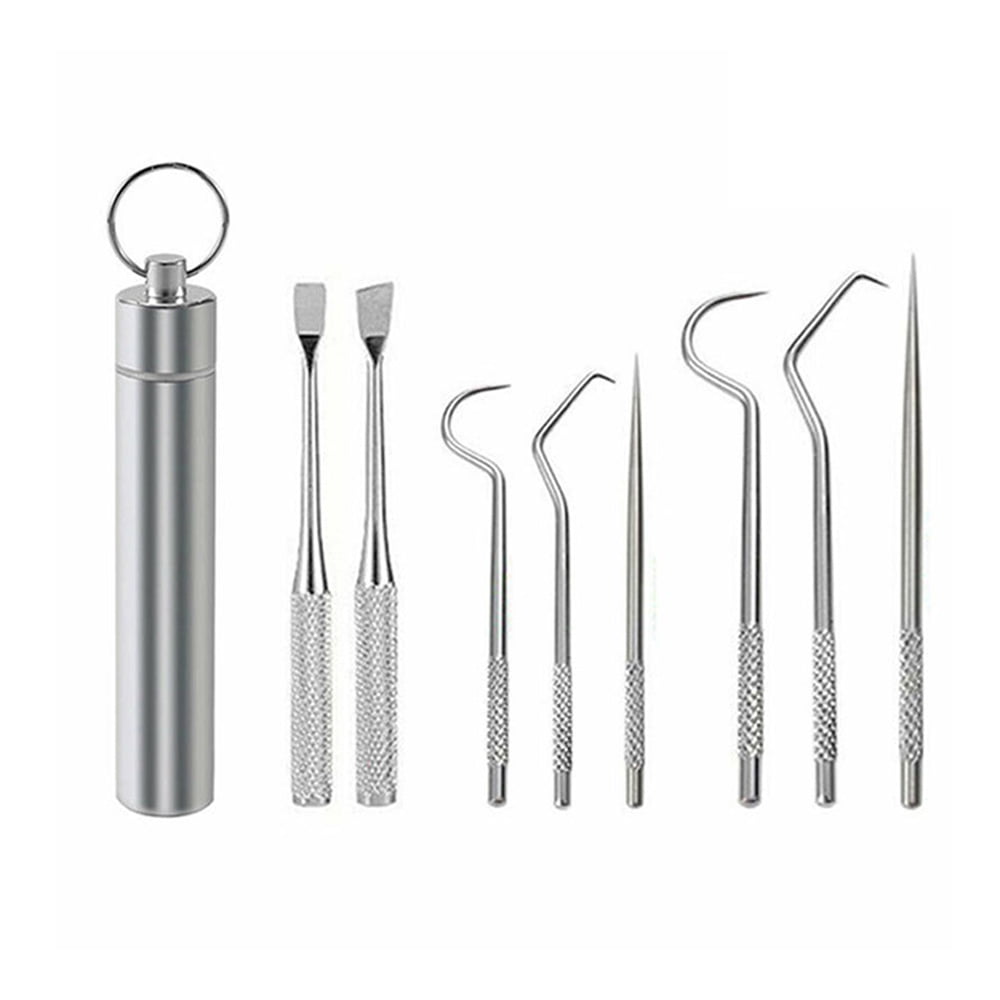 Portable Toothpicks Set Reusable Stainless Steel Toothpicks With Holder ...