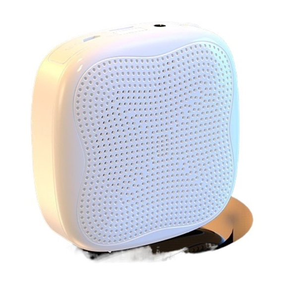 Portable Voice Amplifier Megaphone Mini Audio Speaker With Microphone ...