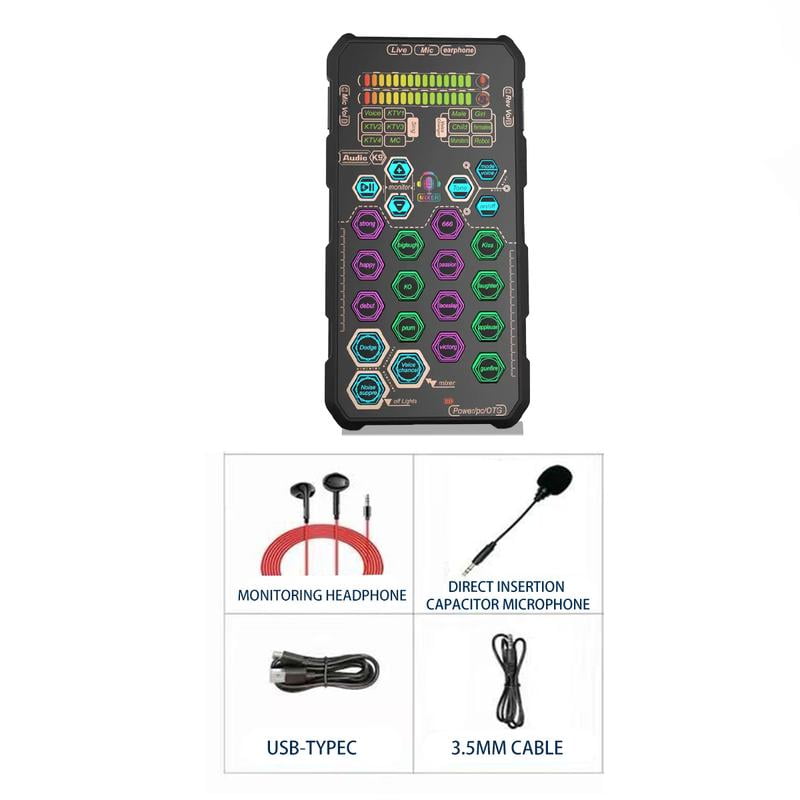Portable Voice Changer & Mini Sound Card – Handheld Mic with Digital ...