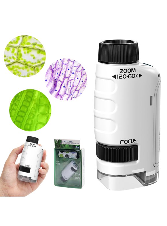 Science & Education Learning Toys - Walmart.com