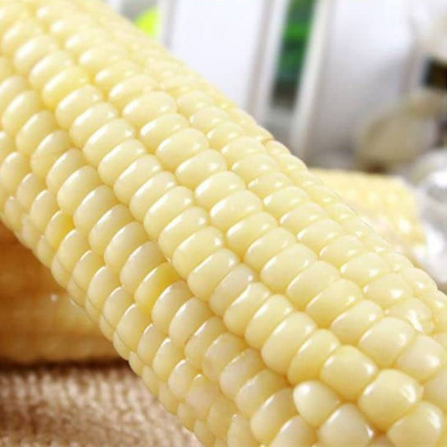 Portal Cool 50 Sweet White Sticky MVR1 Corn Seed Maize Fruit Vegetable ...