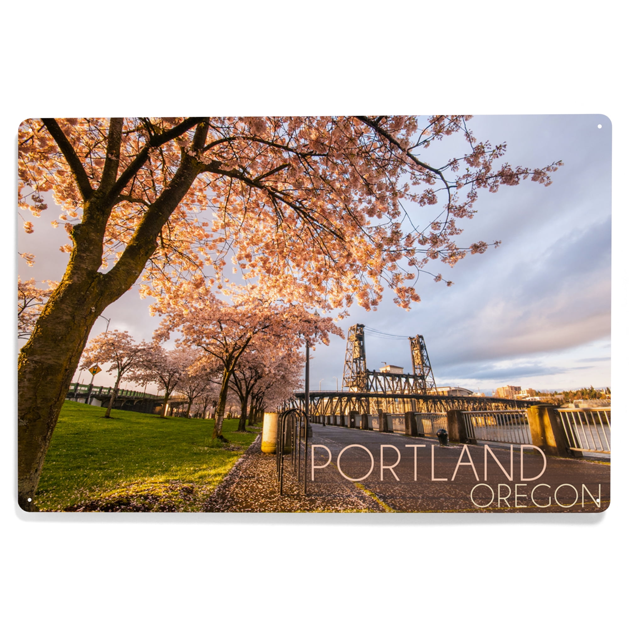 Portland, Oregon, Cherry Blossoms and Waterfront (12x18 Aluminum Art ...