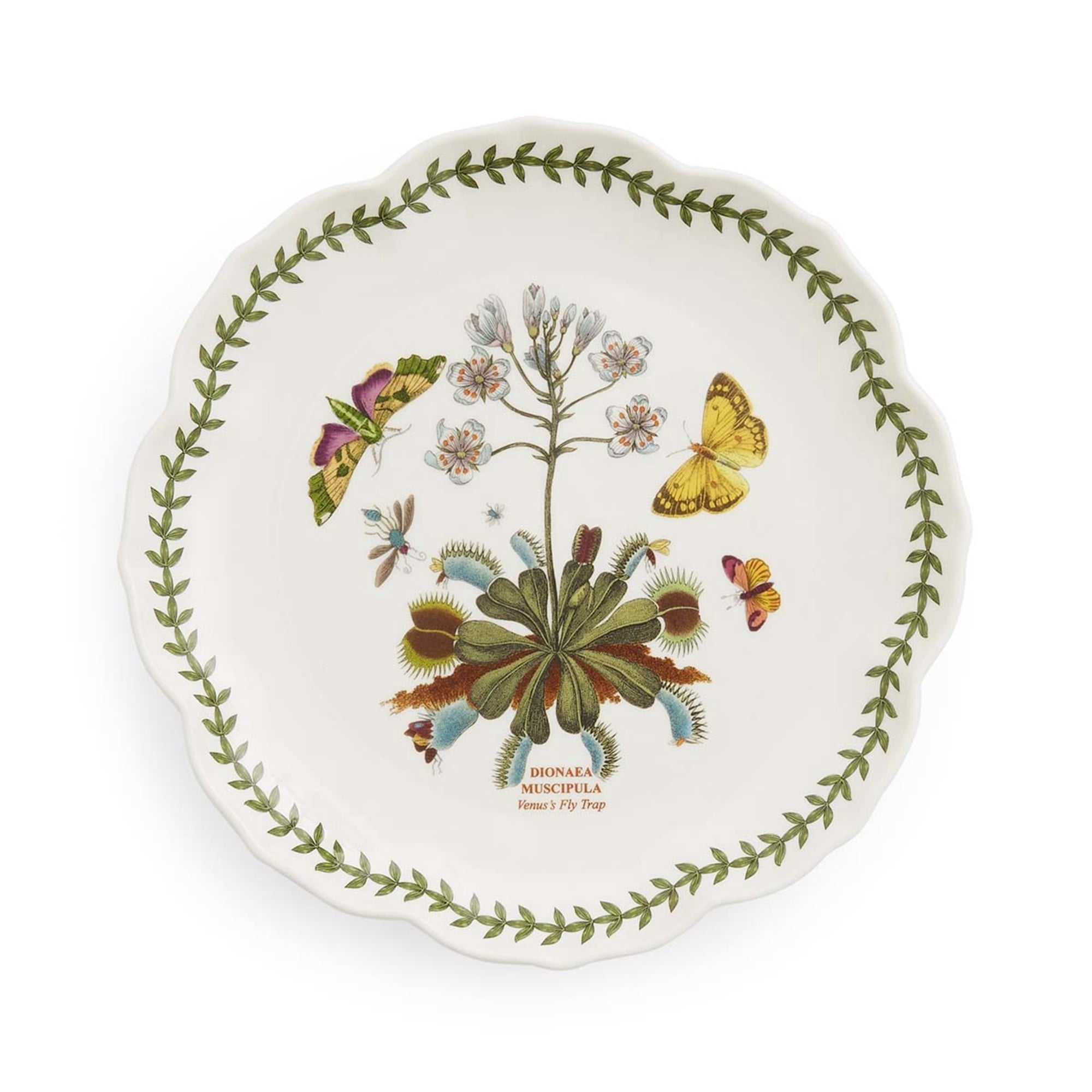 Portmeirion Botanic Garden Lotus 9" Salad Plate, Venus Fly Trap ...