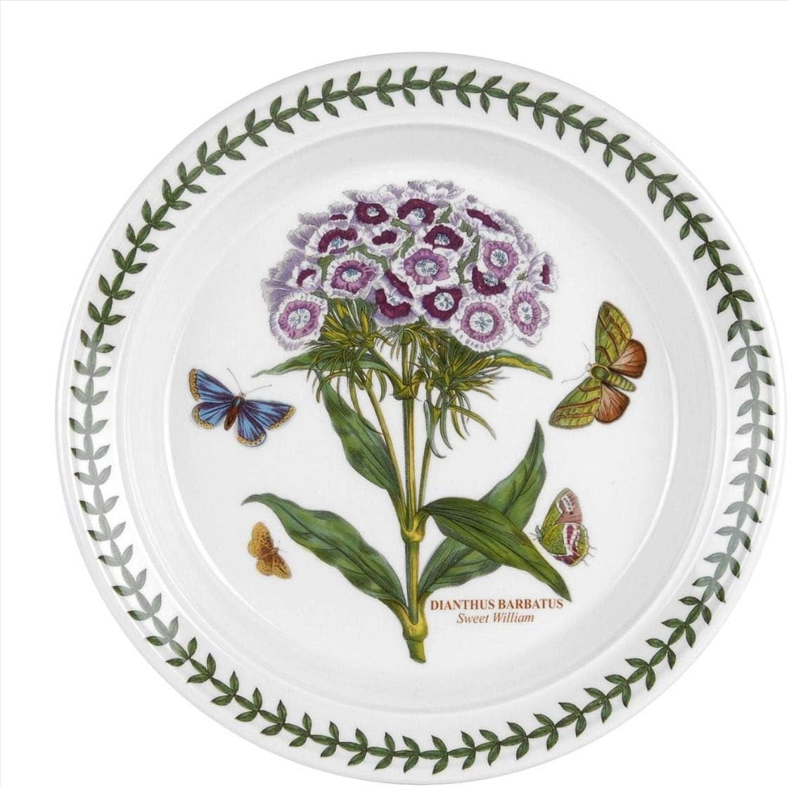 Portmeirion Botanic Garden Salad Plate, Sweet William, 8 1/2¨ - Walmart.com