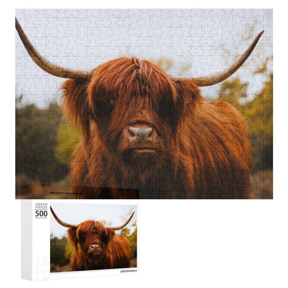 Portrait of A Highland Cow Jigsaw Puzzles 1000 Pieces for Adults, Large ...