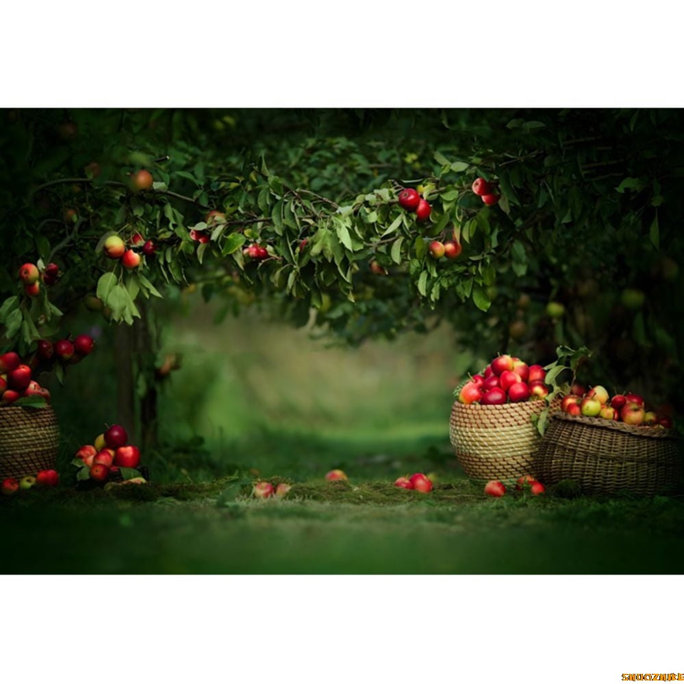 Portrait Backdrop for Photo Studio Orchard Landscape Gre Trees Fruit ...