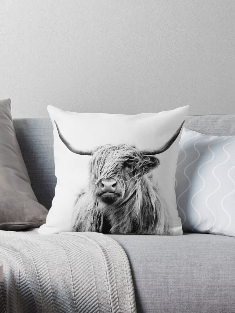 Portrait of a Highland Cow in black and white. Image taken at ...