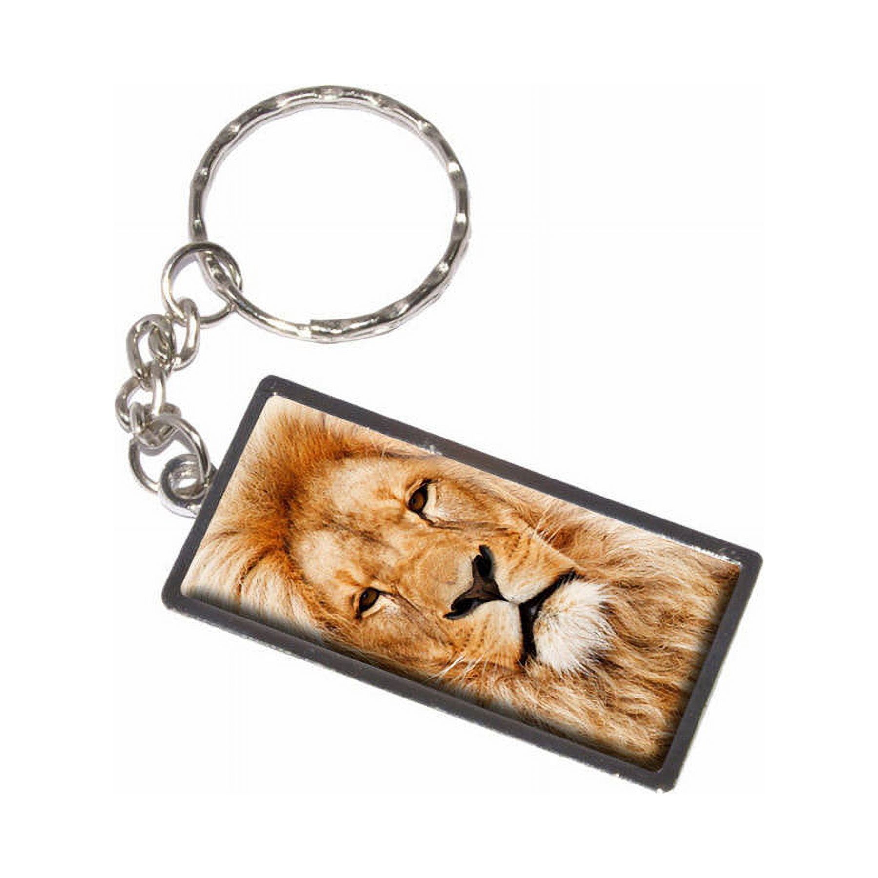 Portrait Of A Male Lion Keychain Key Chain Ring - Walmart.com