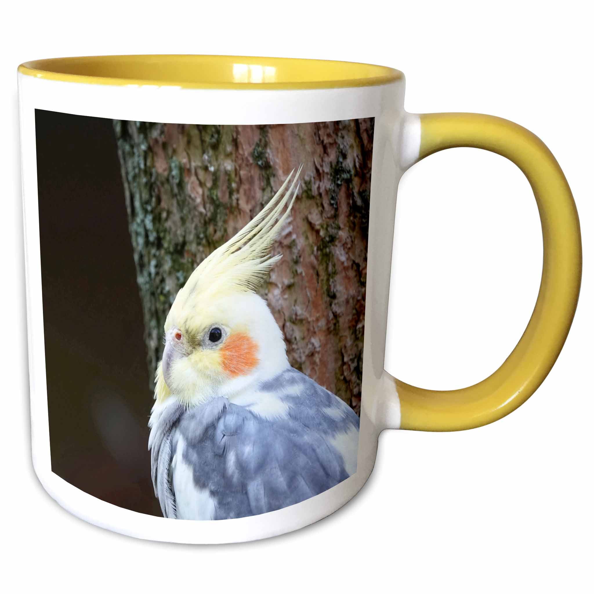 3drose, Portrait of Funny Cockatiel Bird Budgie, 11oz Two-tone Yellow ...