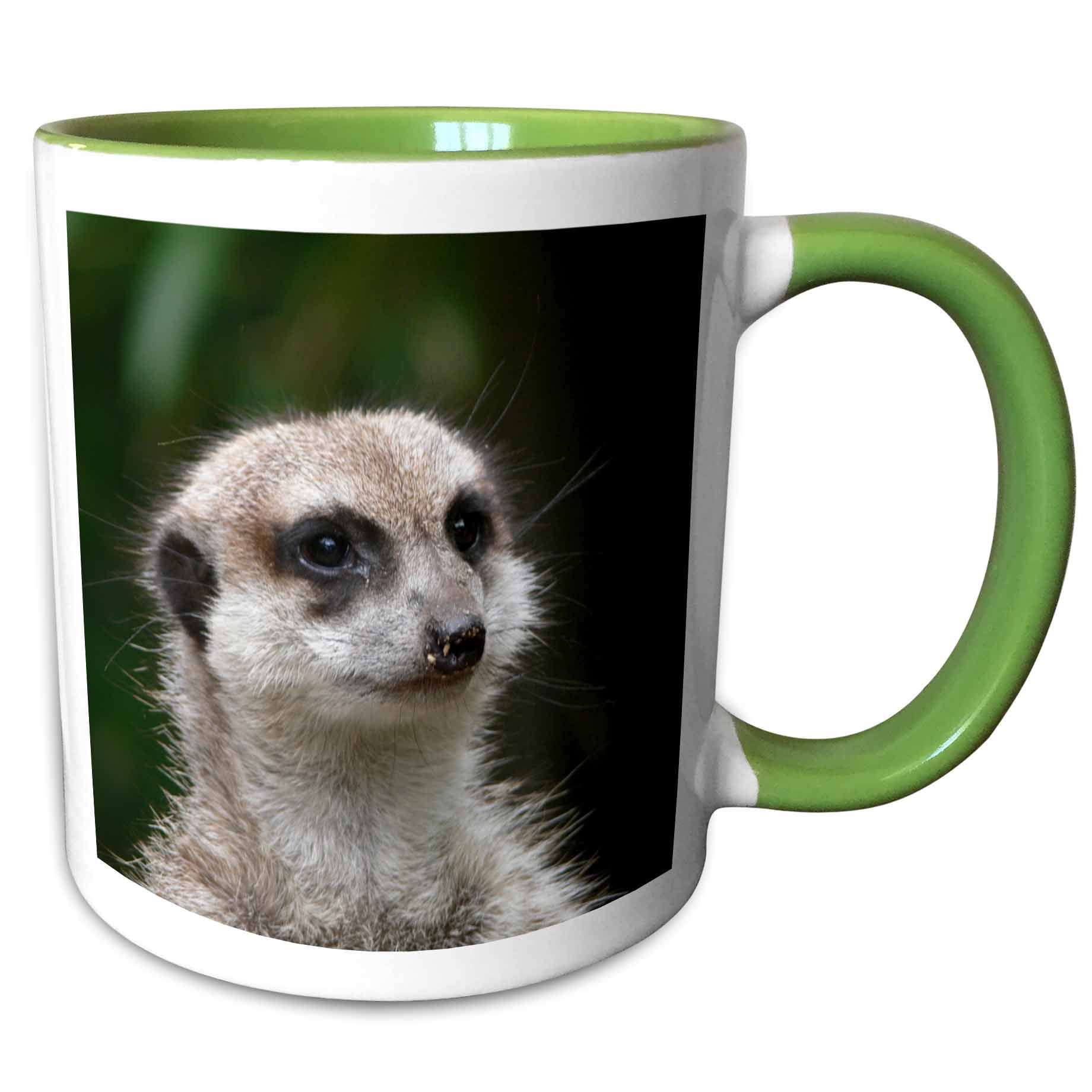 Portrait Of Meerkat African Animal Wildlife Nature, 15oz Two-Tone Green ...