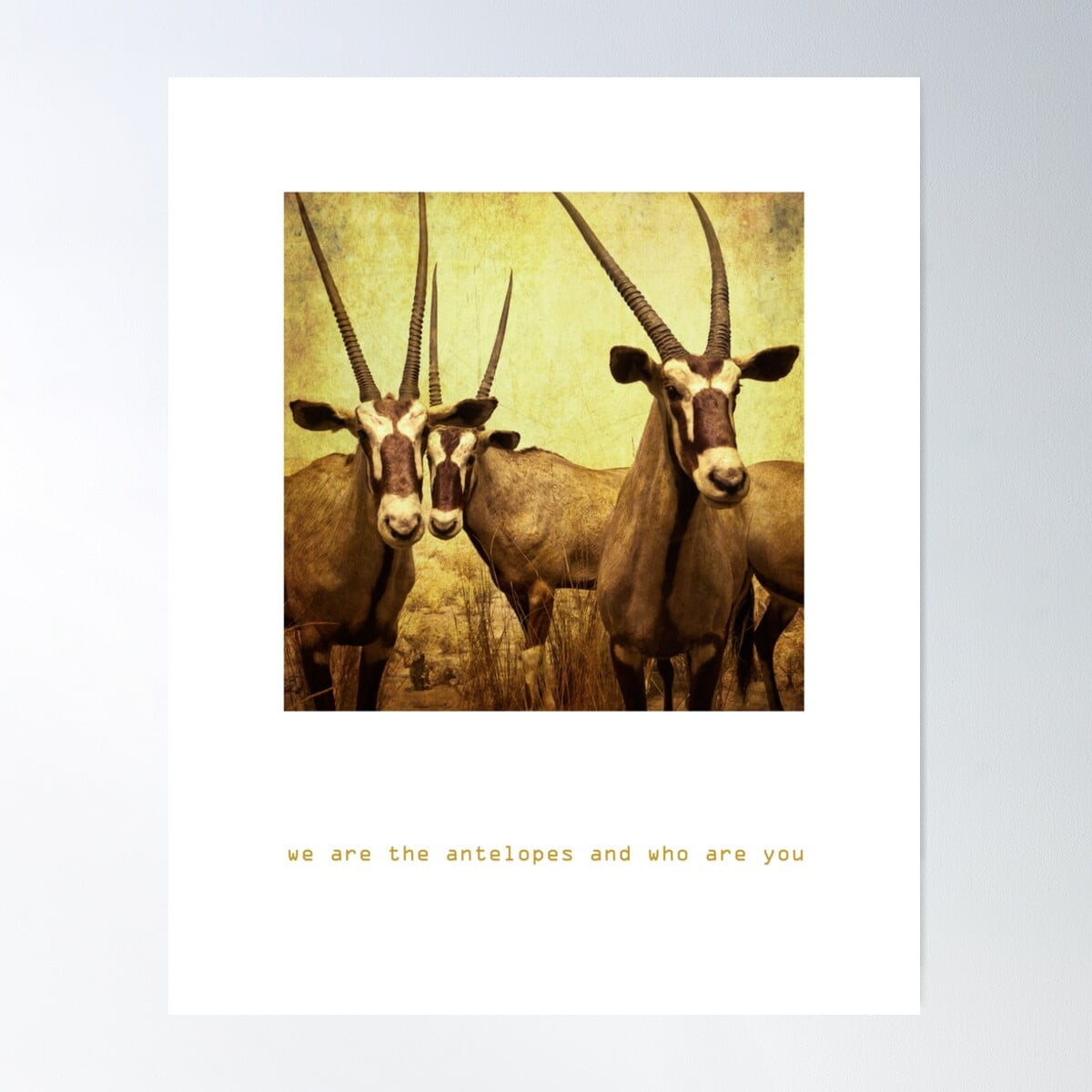 Portrait Of Three Antelopes Poster Wall Art, Modern Wall Decor For ...