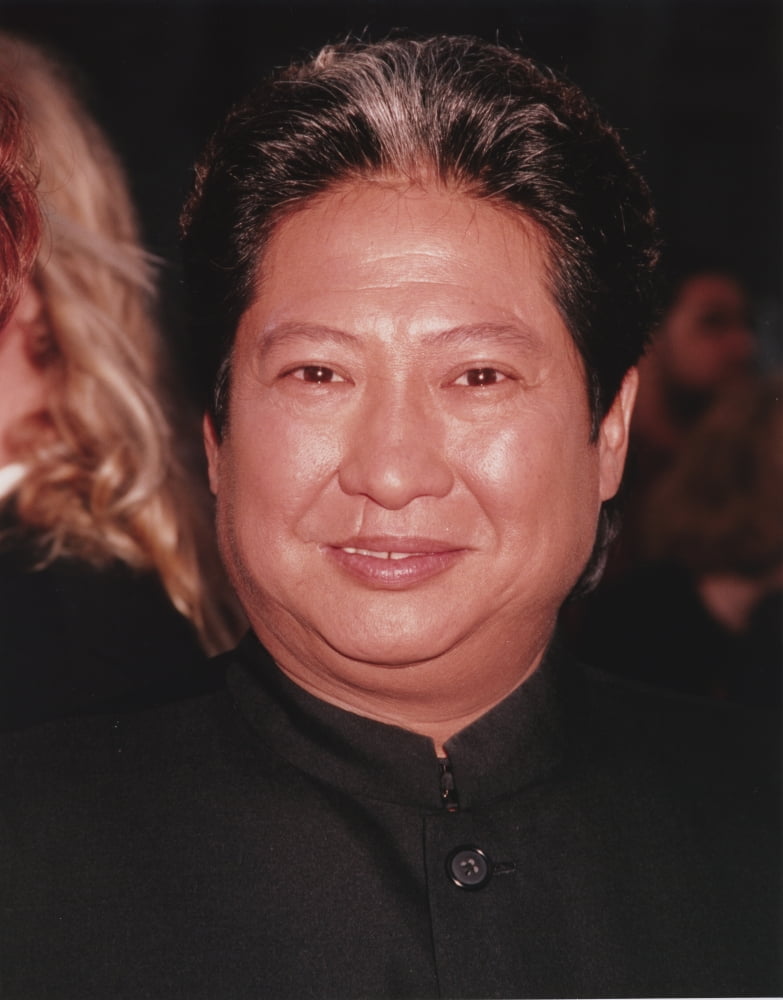 Portrait Sammo Hung Photo Print (24 x 30) - Walmart.com