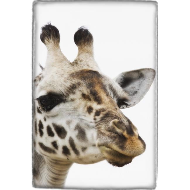 Portrait of African Giraffe Poster Print, 12 x 19 - Walmart.com