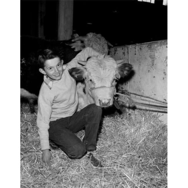 Portrait of Boy with Bull in Barn Poster Print - 18 x 24 in. - Walmart.com