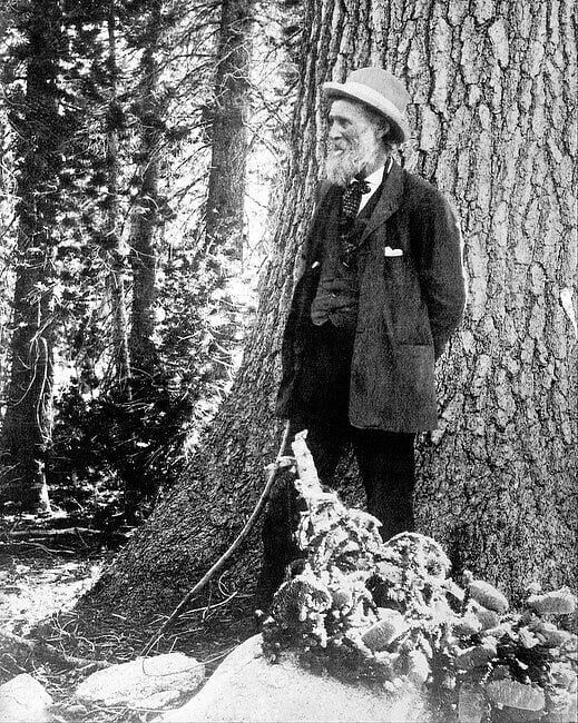 Portrait of Conservationist John Muir - 24x36 Inch Glossy Laminated ...