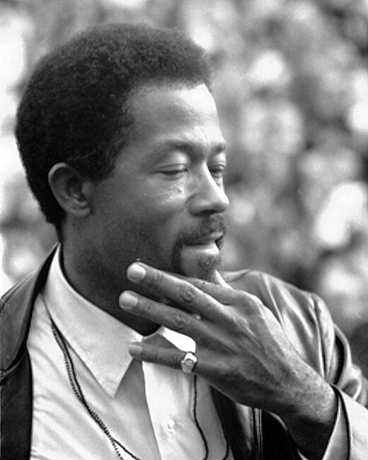 Portrait of Eldridge Cleaver Style - A - 12x18 Inch Laminated Aviation ...