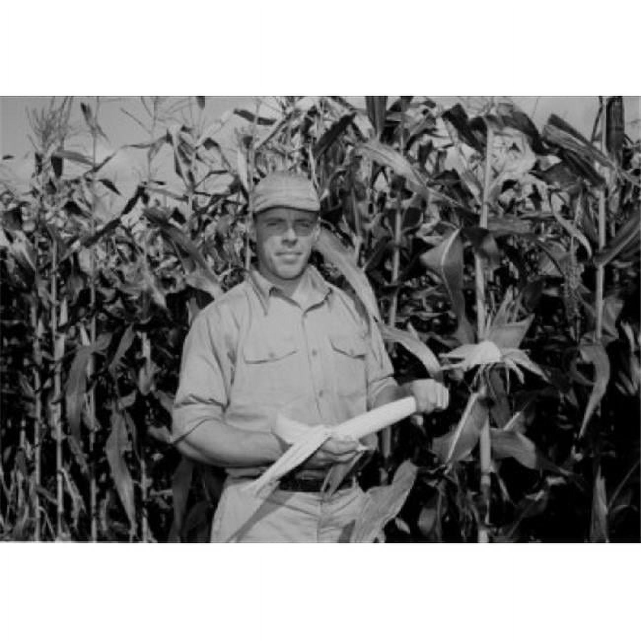 Portrait of Farmer in Corn Field Poster Print - 18 x 24 in. - Walmart.com