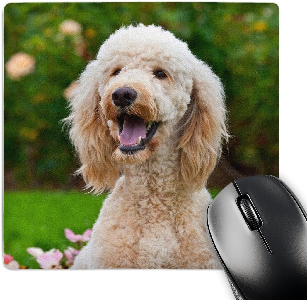 Portrait of Labradoodle Sitting in Rose Garden Mouse Pad (mp_192306_1 ...