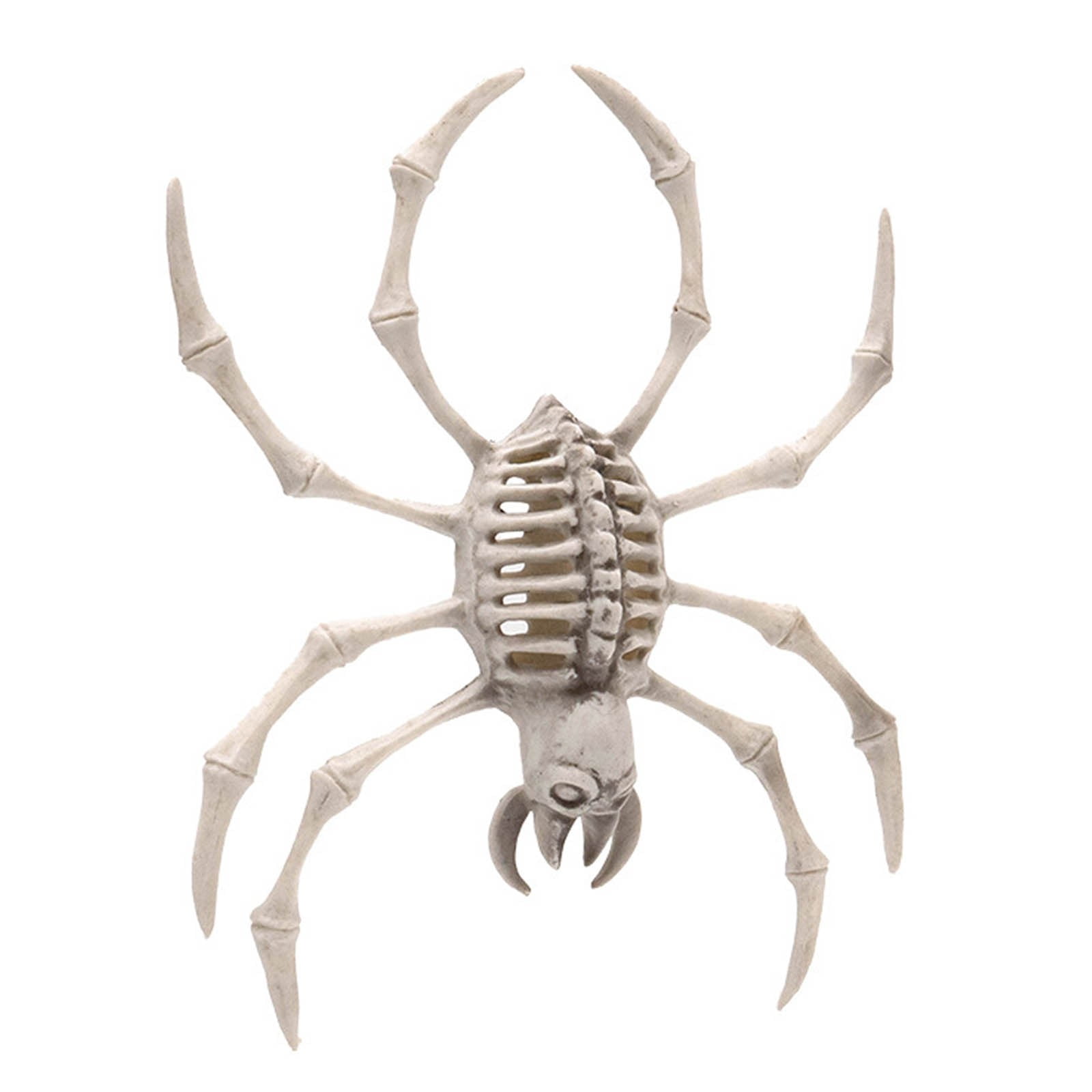 Posable Halloween Skeleton Spider - 6.7 Inch Scary Decor for Haunted ...