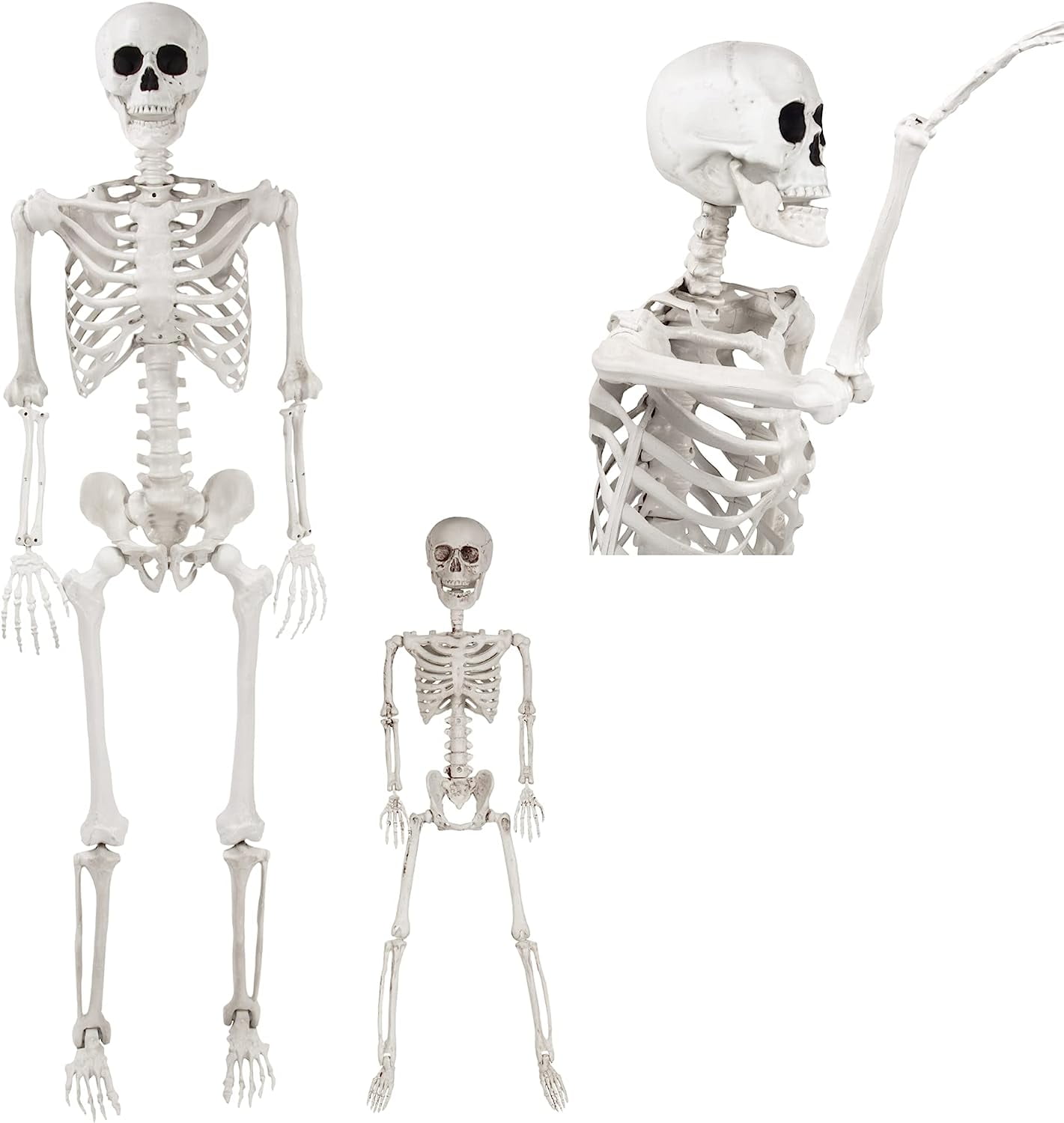Posable Life Size Human Skeletons, Set of 2 - Adult & Child -Realistic ...