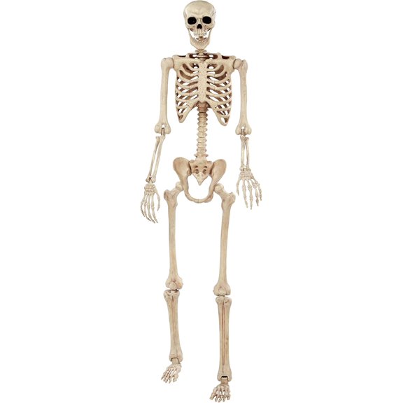 5' Spooky Life Size Skeleton Indoor/Outdoor Halloween Decoration ...
