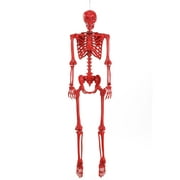 Red Skeleton Height