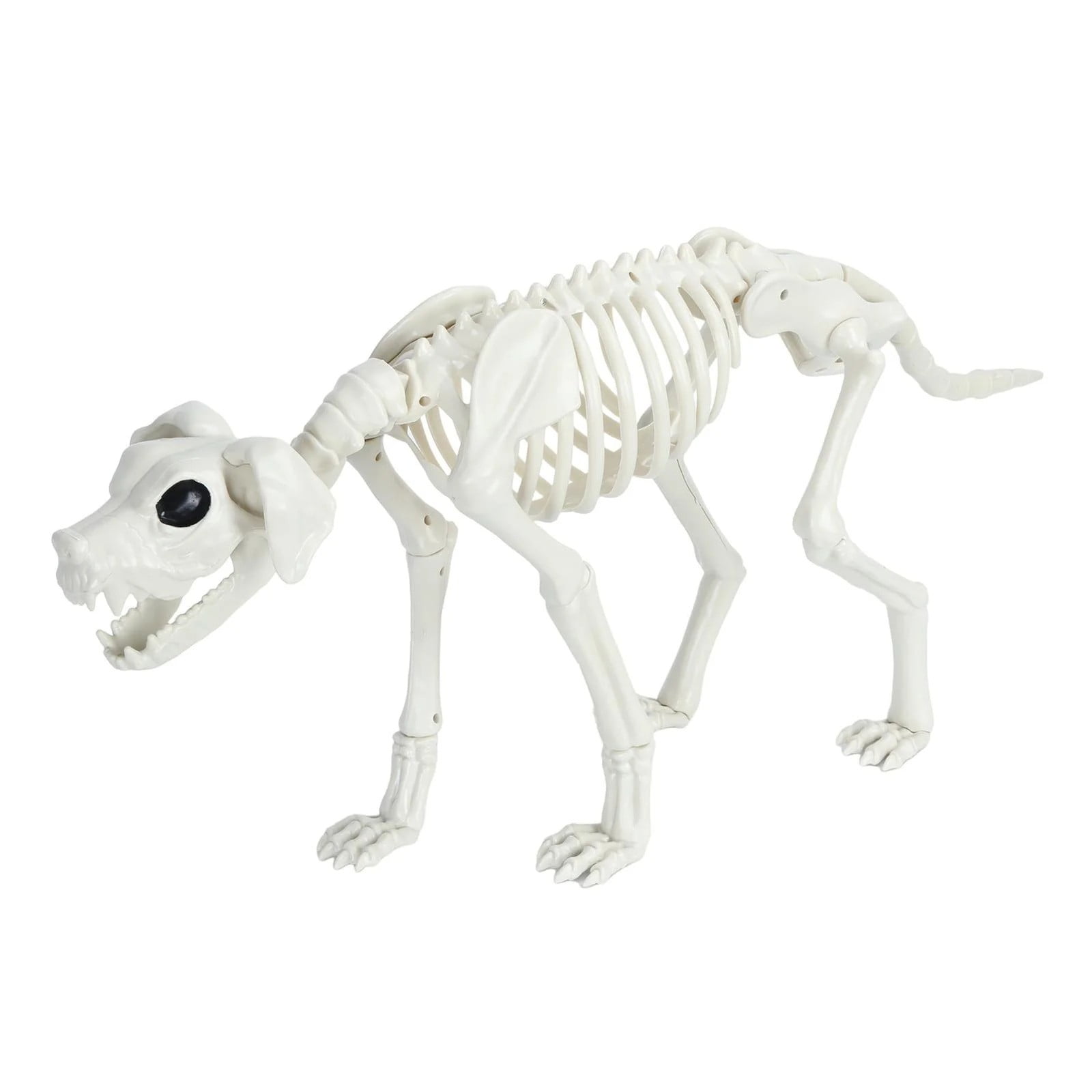 Poseable Dog Skeleton Halloween Decoration, Halloween Skeleton Dog ...