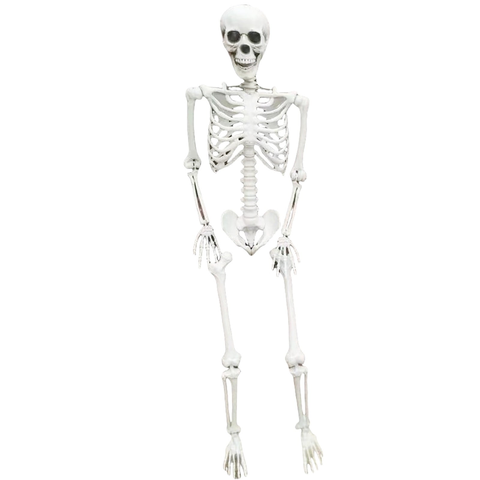Poseable Halloween Skeleton Full Body Life-Size Skeleton Prop Halloween ...