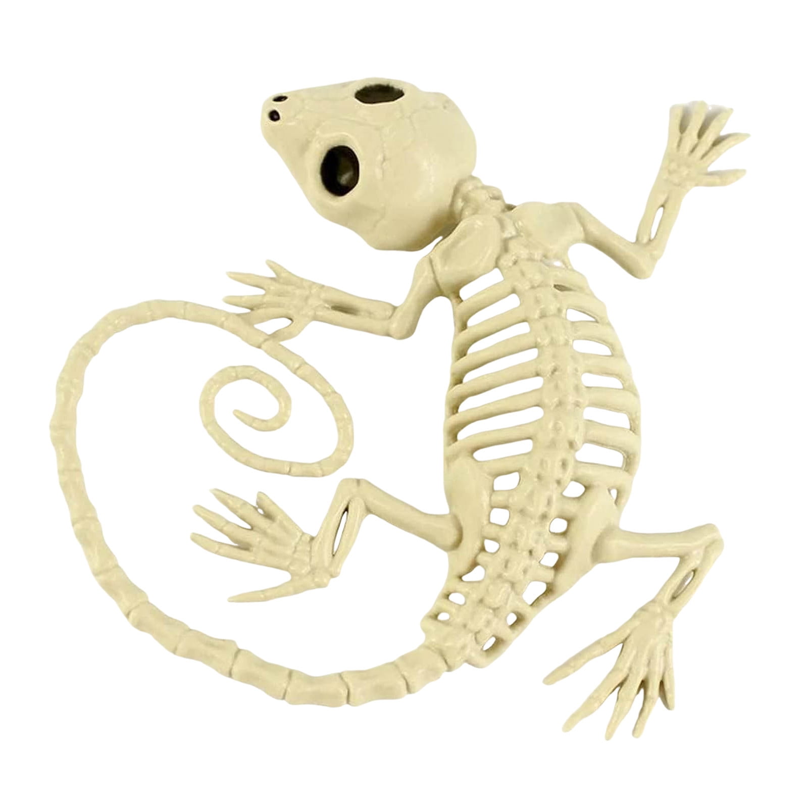Poseable Pose-N-Stay Lizard Skeleton Decoration Animal Bones with ...