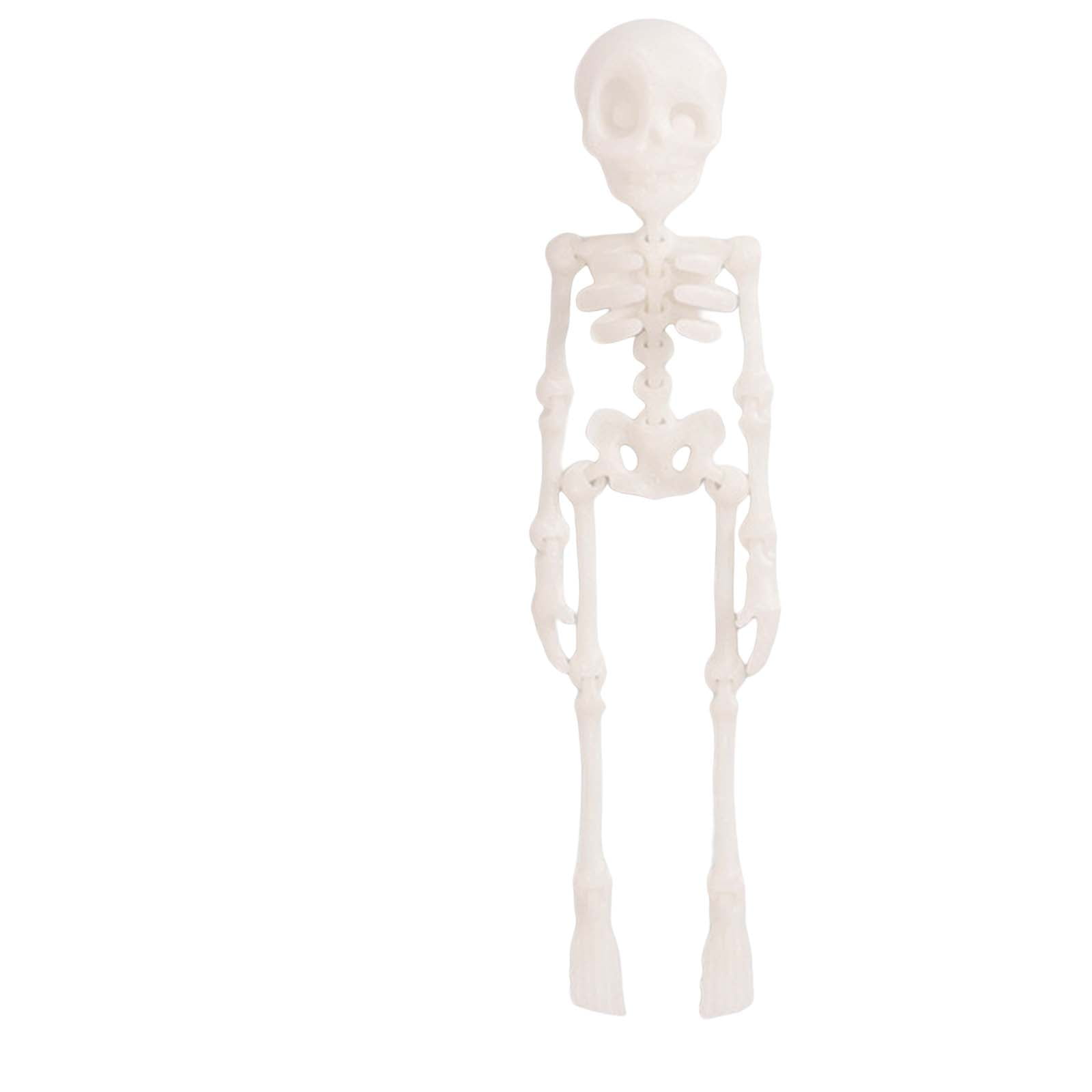 Poseable Skeleton Fridge Magnet, 3D Printed Articulated Skeleton, Mini ...
