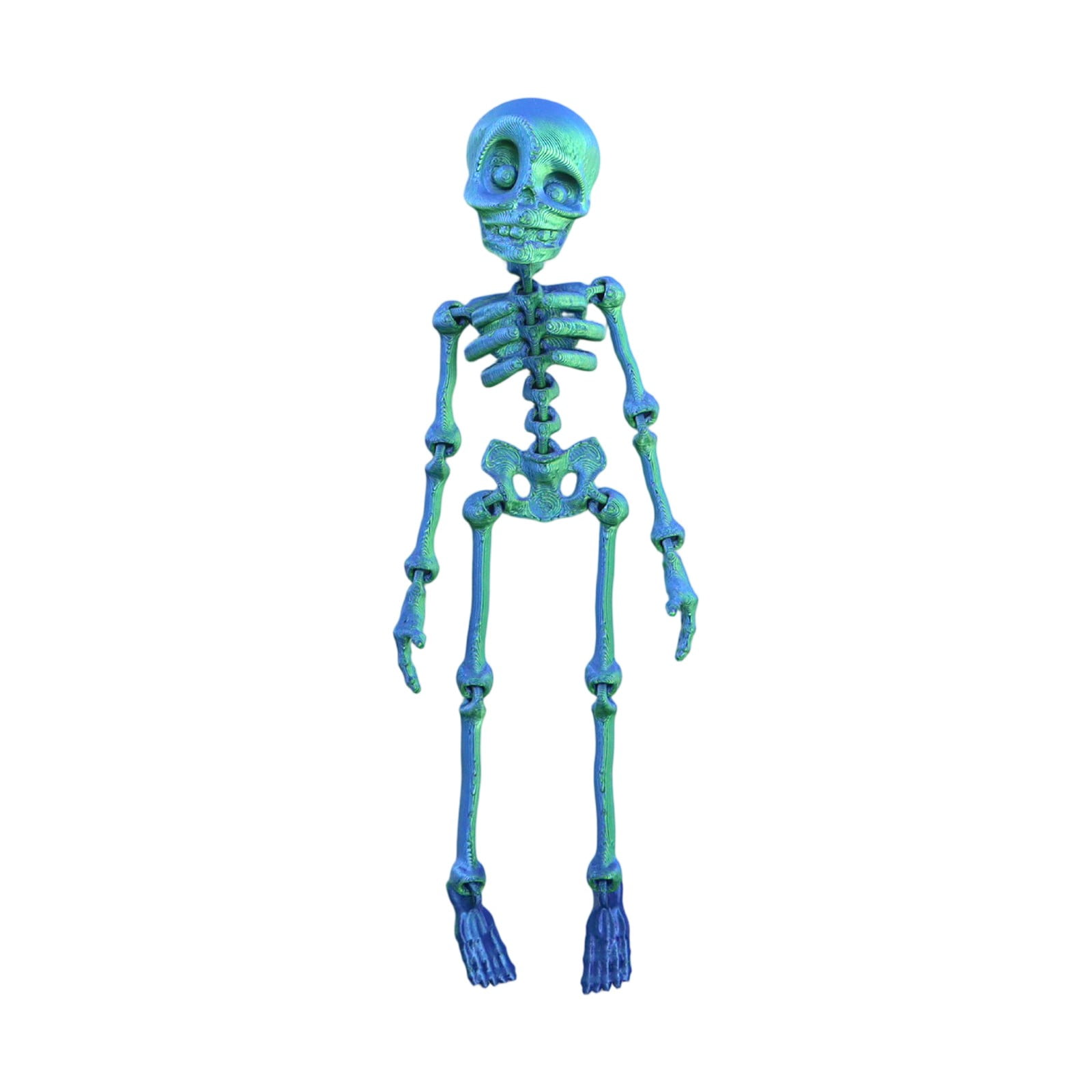 Poseable Skeleton Fridge Magnet 4.7 inches, Mini 3D Printed Skull ...