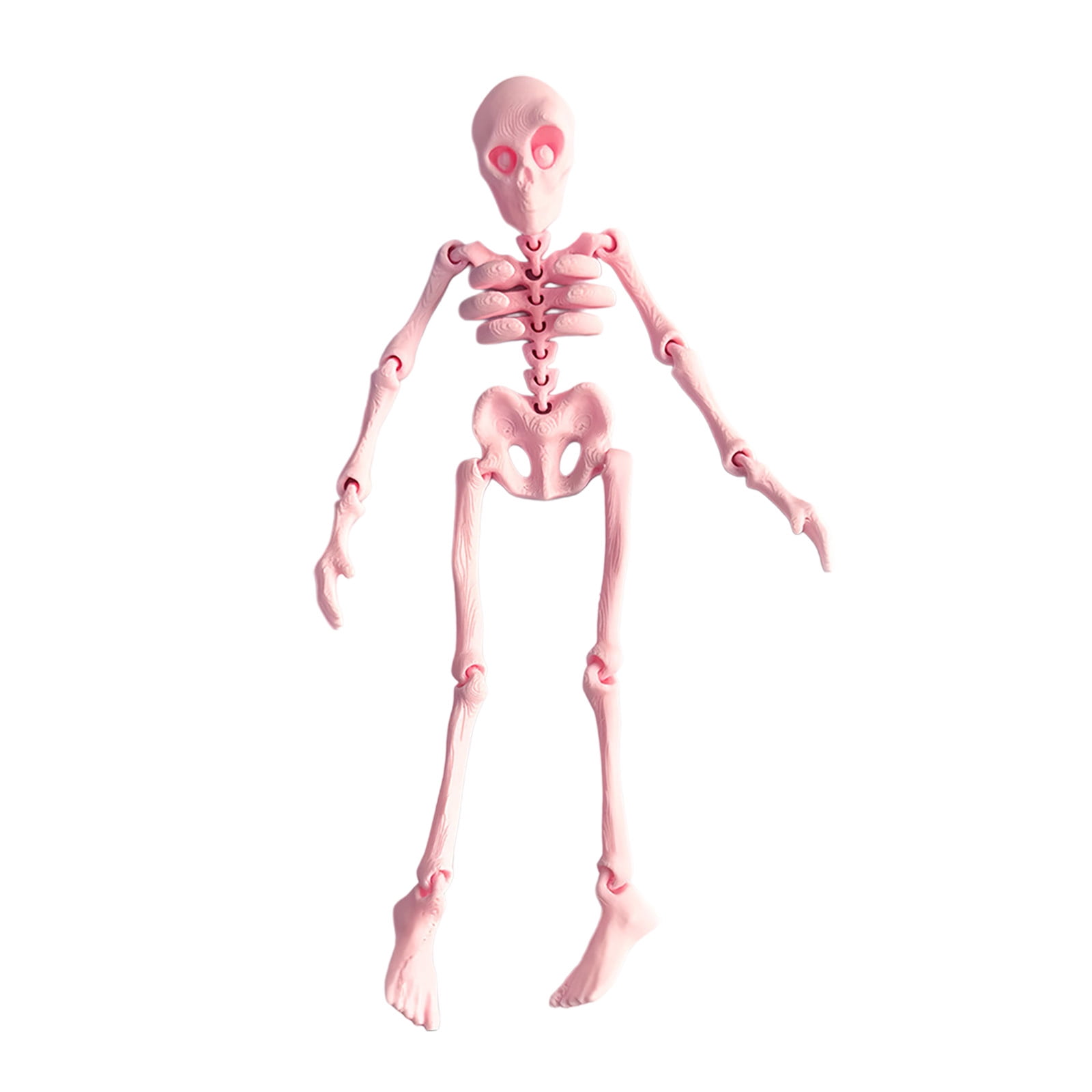 Poseable Skeleton Fridge Magnet, Halloween Articulated Skeleton with ...