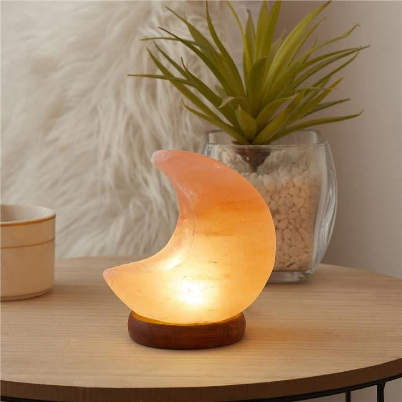 Posh Living Posh Living Calla Moon Salt Lamp with 8 Color Modes ...