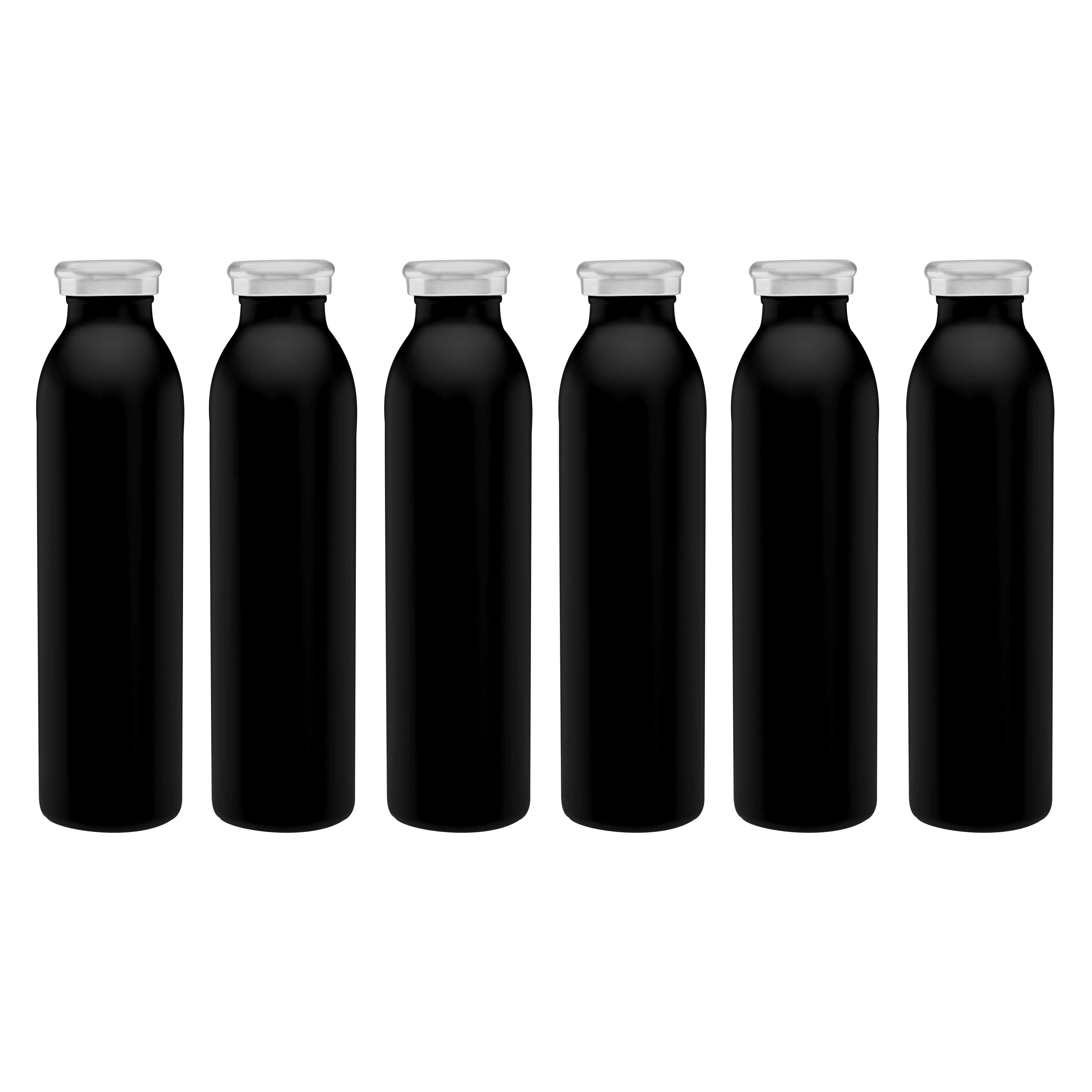 Posh Stainless Steel Water Bottles 20 oz. Set of 6, Bulk Pack - Double ...