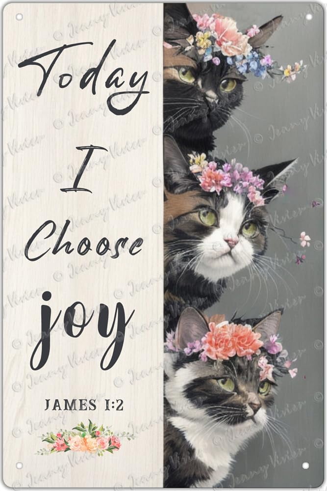 Positive Quote Plaque Cat Today I Choose Joy Motivational Wall Decor ...