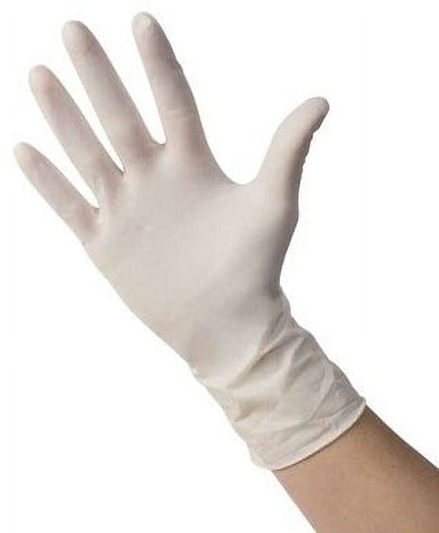 Positive Touch Latex Exam Gloves, Powder Free Latex Gloves, MEDIUM ...