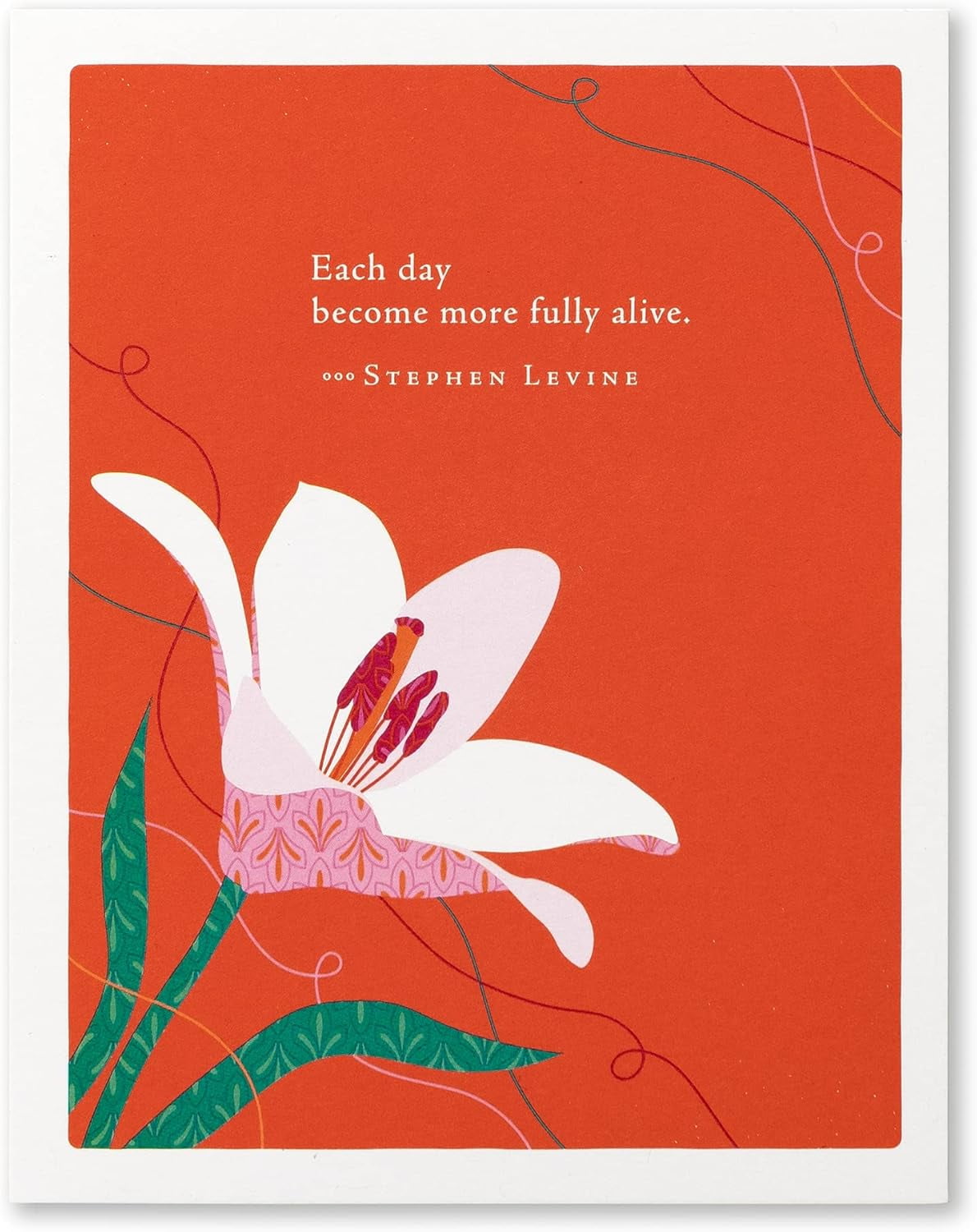 Positively Green 4-Pack Of Sympathy Cards They Lived And Laughed And ... Positively Green 4-Pack Of Sympathy Cards They Lived And Laughed And ...